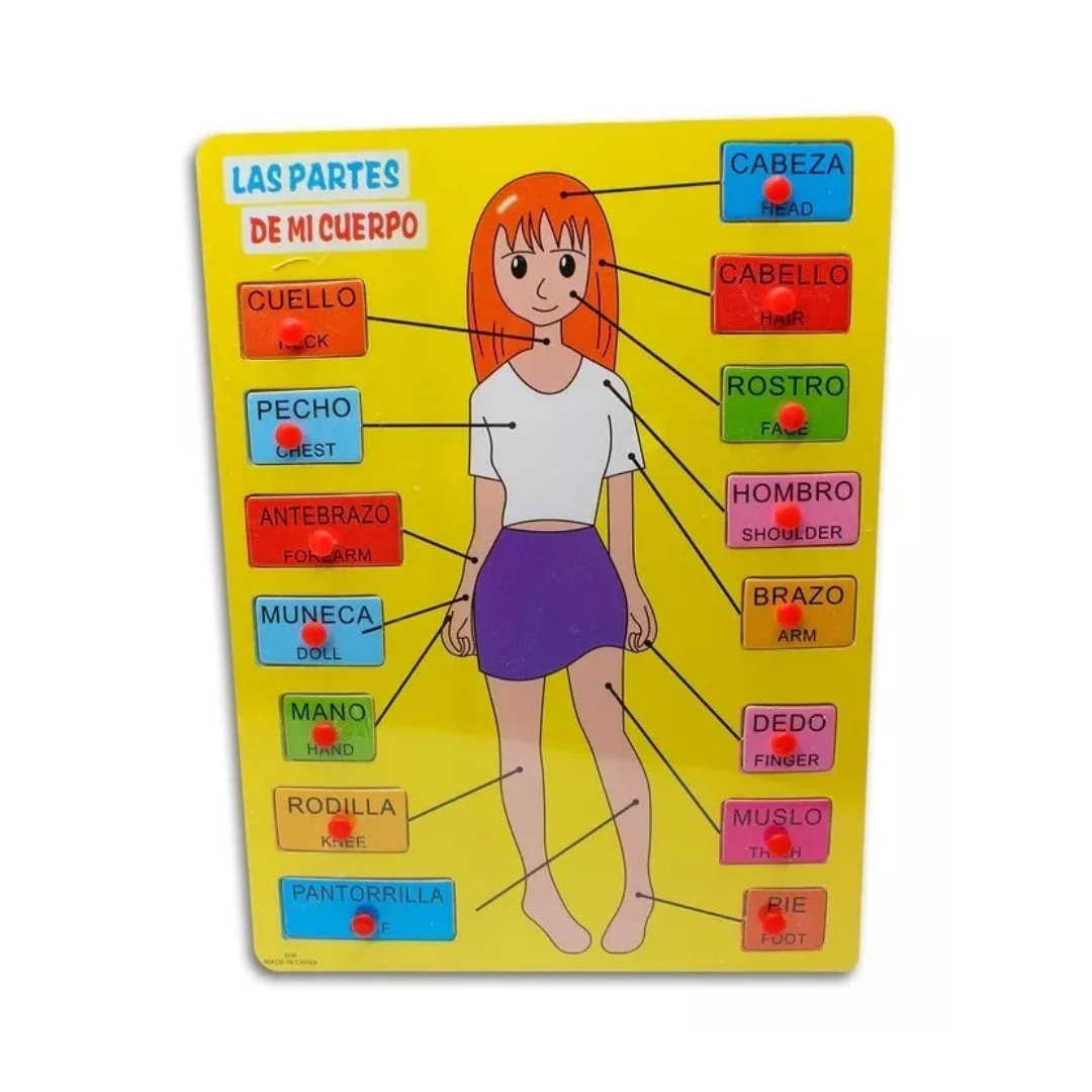 🧍♀️🧍♂️ Rompecabezas Educativo de Madera – Las Partes de Mi Cuerpo ...